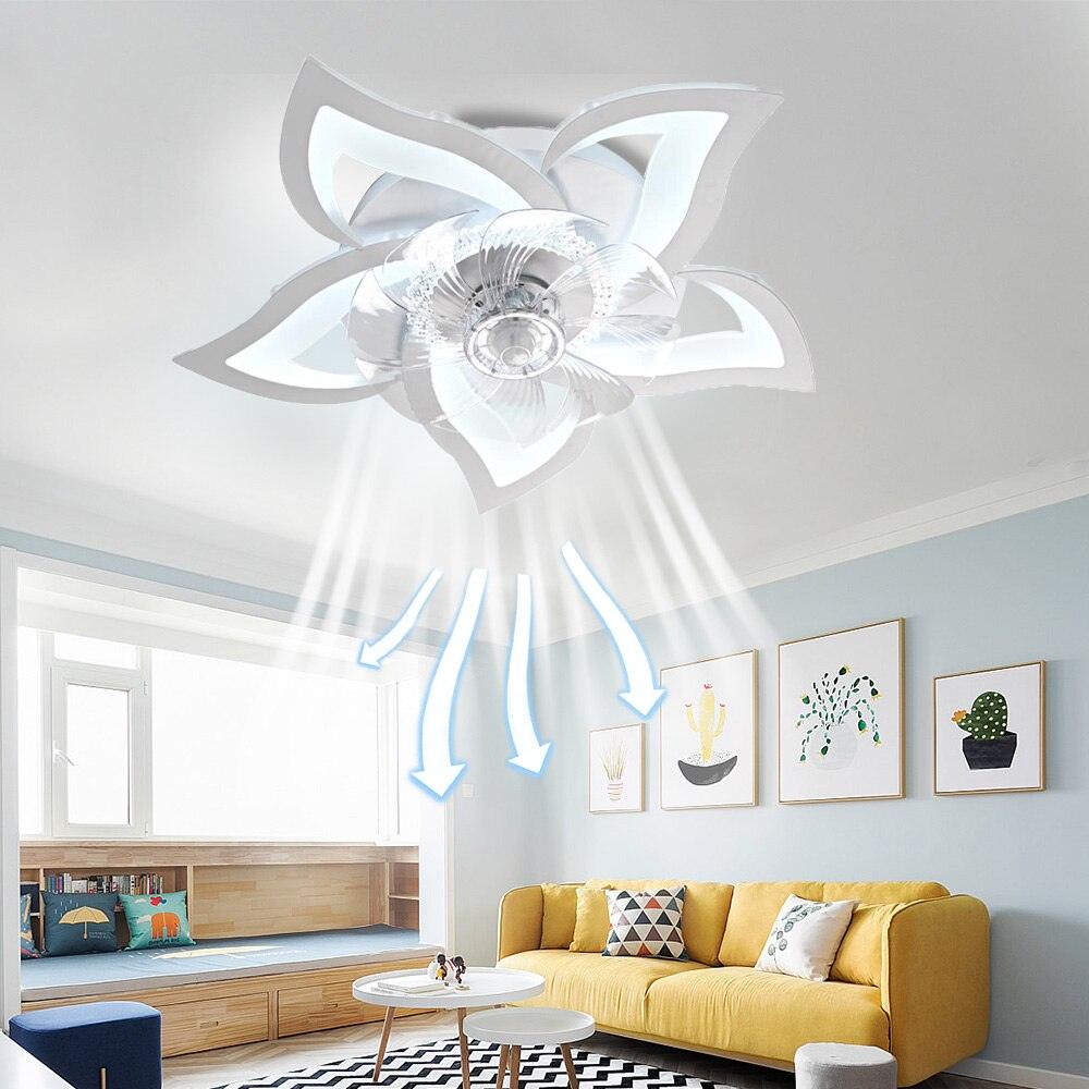 Ceiling Fans & Lamp – BH Home Store
